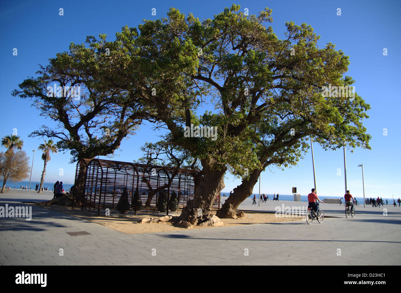 Trees and a sculpture near the Barceloneta beach in Barcelona Stock ...