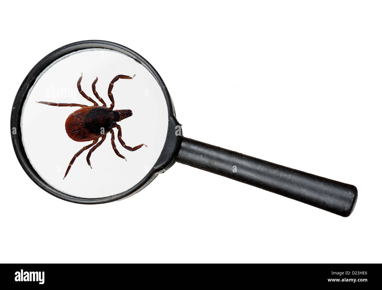 Big magnifying glass on Cut Out Stock Images & Pictures - Alamy