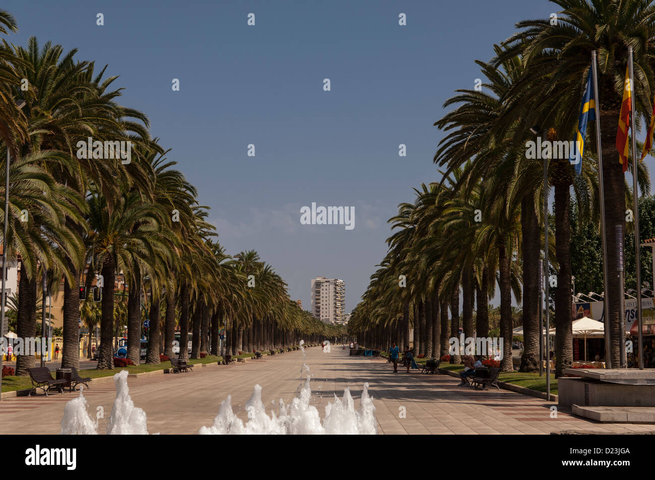 An avenue of palm trees at Salou , Costa Dorada , Spain Stock Photo - Alamy