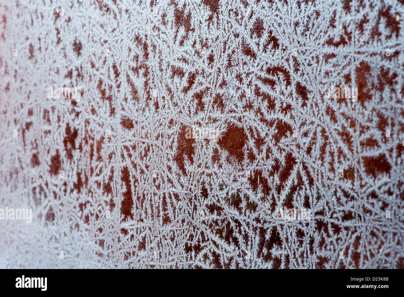 A sharp hoar frost leaves a fascinating pattern of icy frost weaved ...