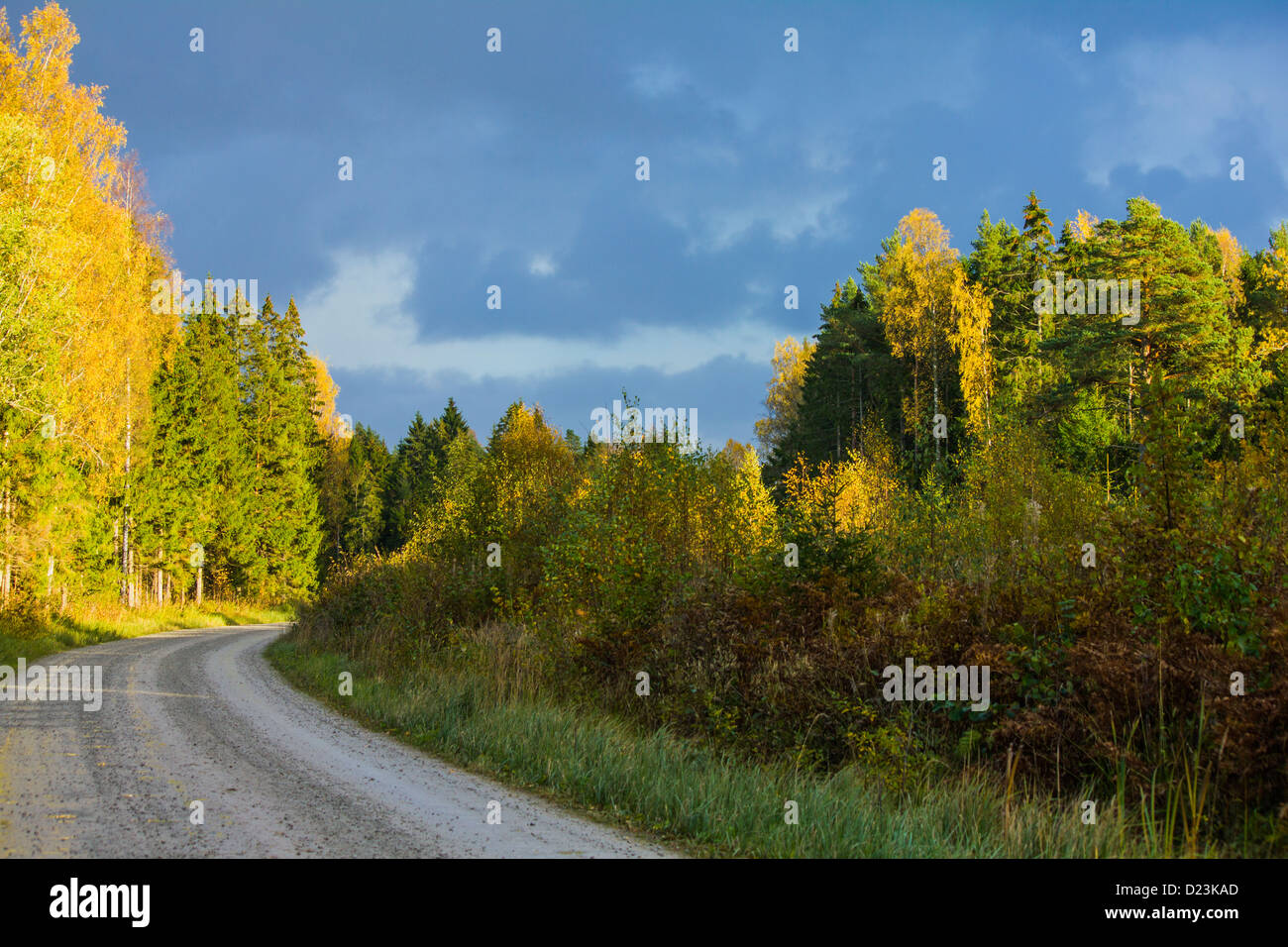 Steady colors hi-res stock photography and images - Alamy