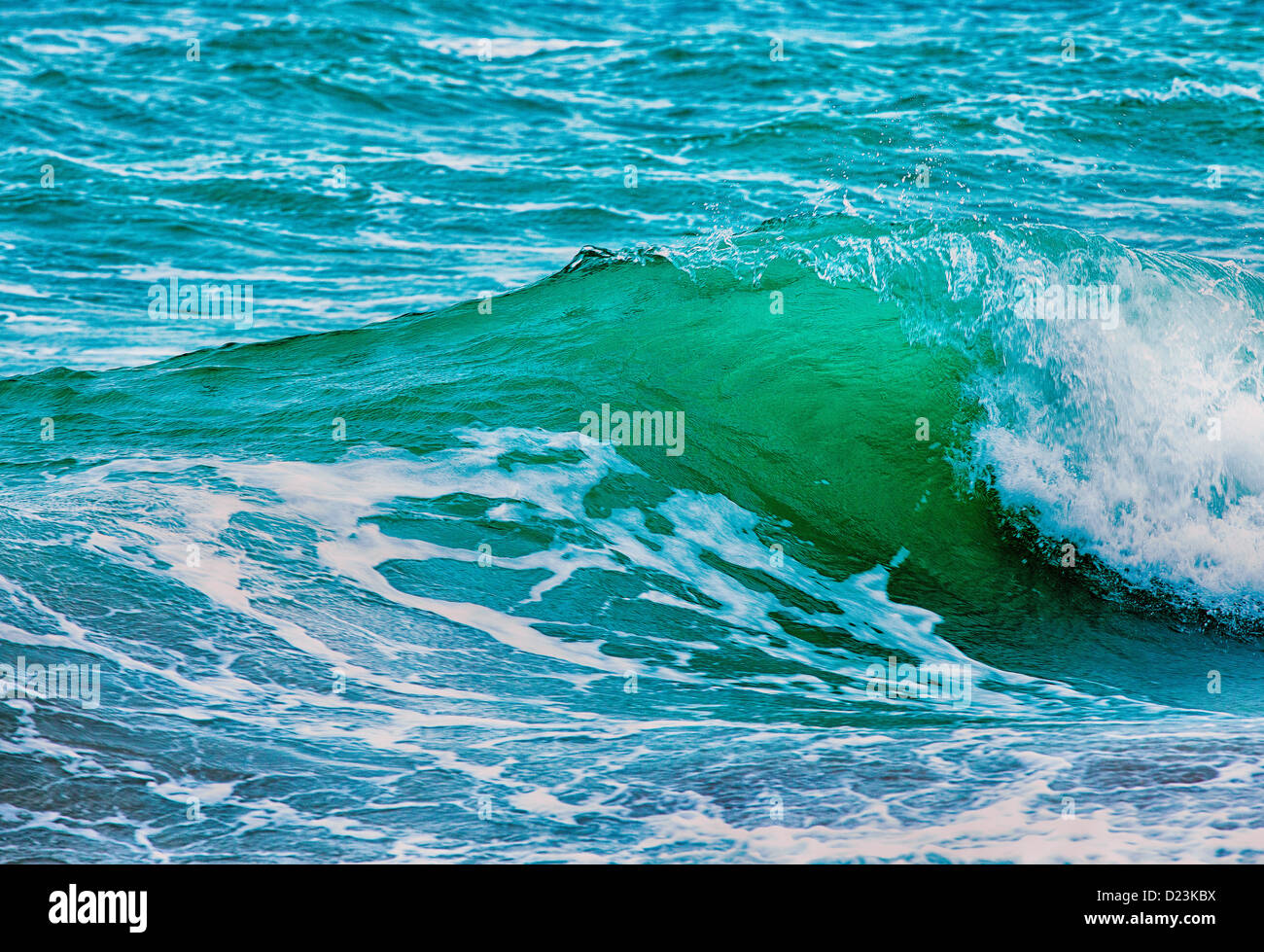 Whitewater on a Florida beach Stock Photo - Alamy