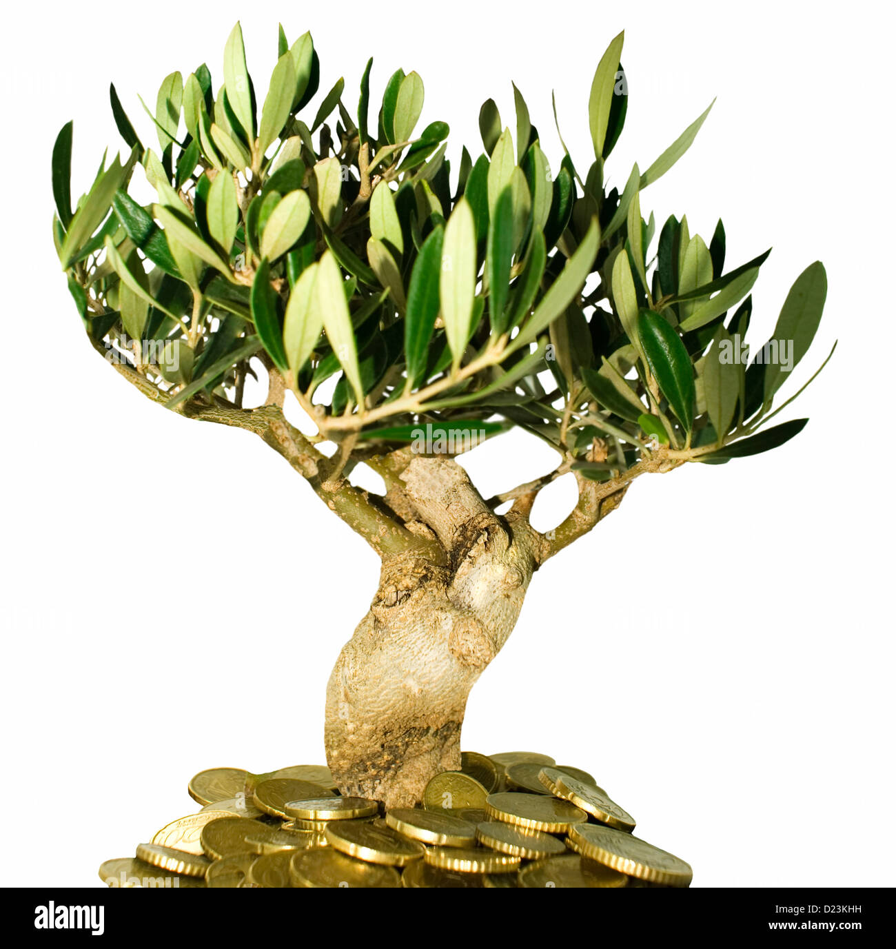 Money for the future hi-res stock photography and images - Alamy