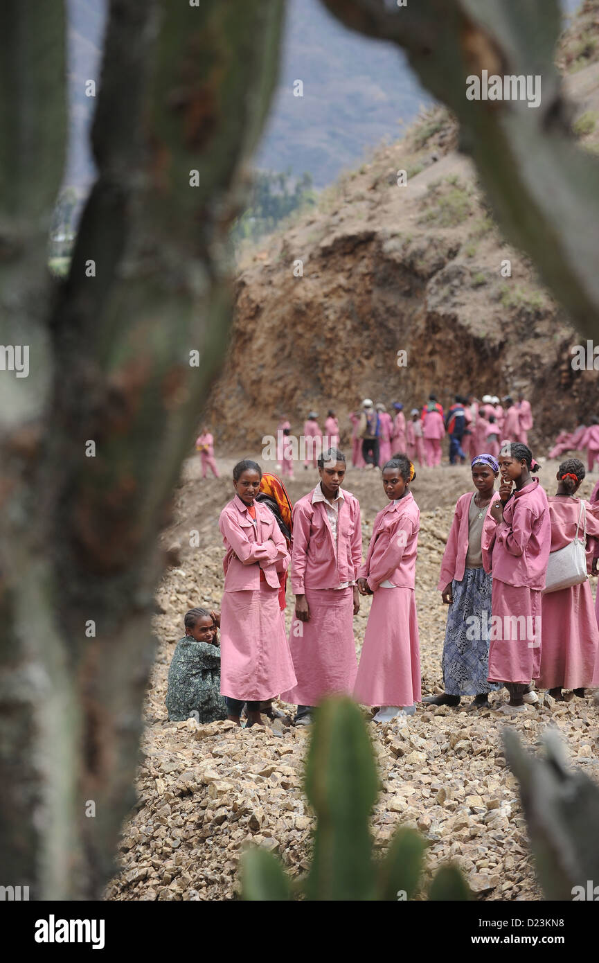 Kakteengewaechse High Resolution Stock Photography and Images - Alamy