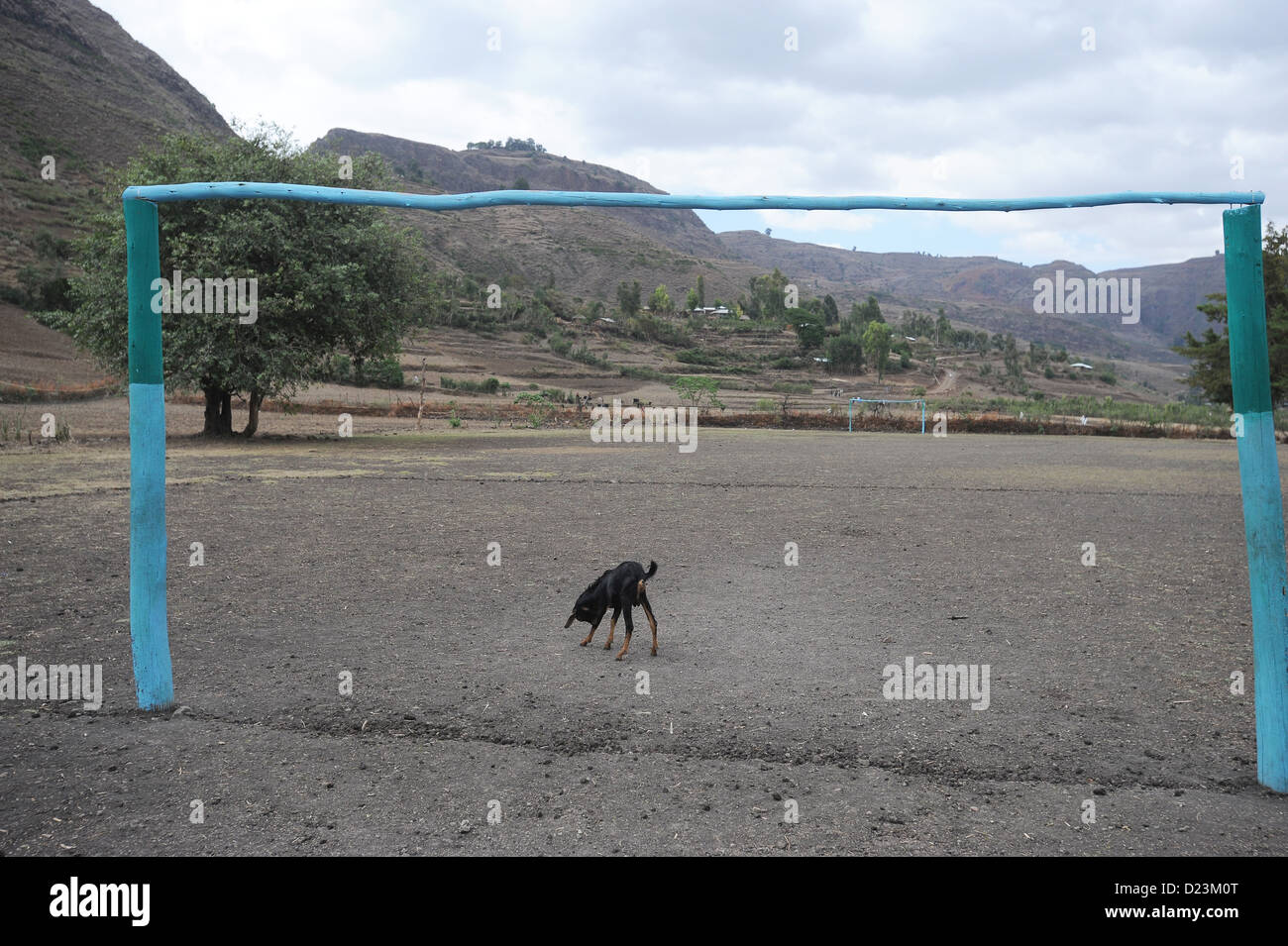 Zala Zembaba, Ethiopia, a goat standing on a football field Stock Photo ...