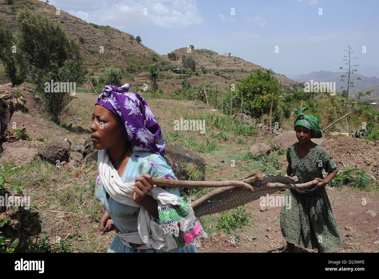 Key Afer Ethiopia, women working in the fields Stock Photo - Alamy