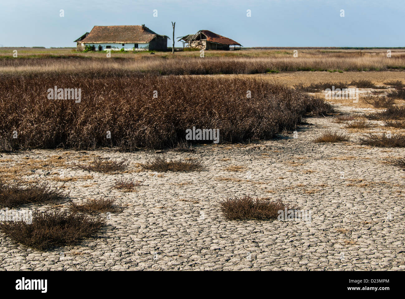 Farmhouse On Dry Landscape - Forsaken farm with parched soil and plants ...