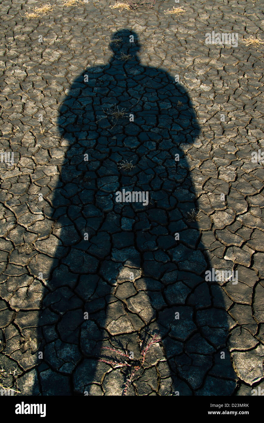 Parched silhouette hi-res stock photography and images - Alamy