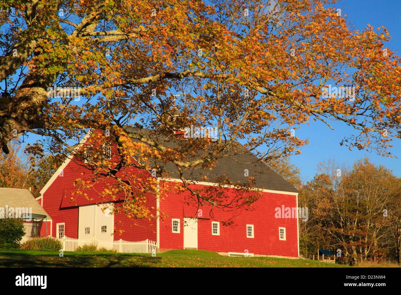 Maple corner farm hi-res stock photography and images - Alamy