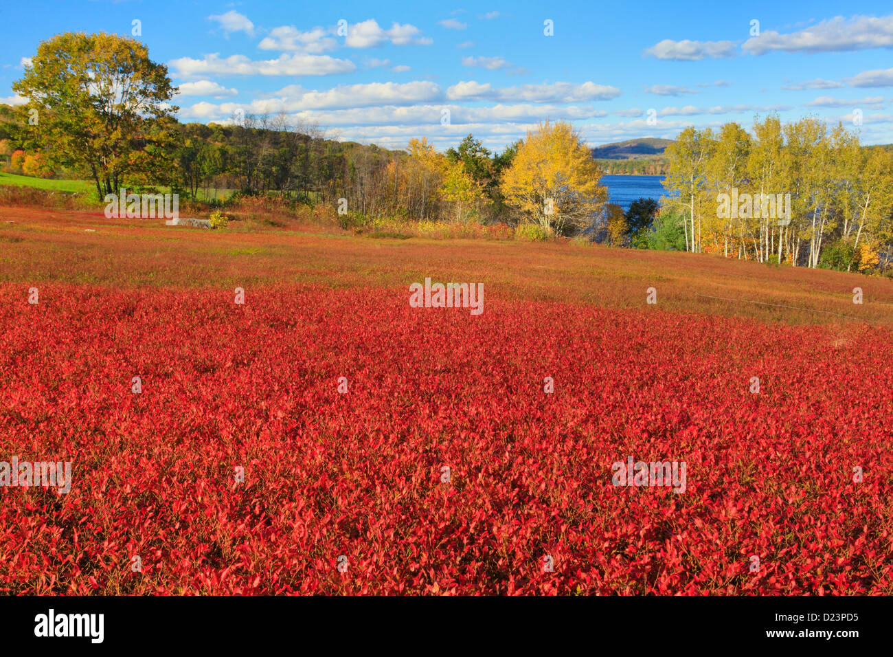 Blueberry Bald, Union, Maine, USA Stock Photo - Alamy