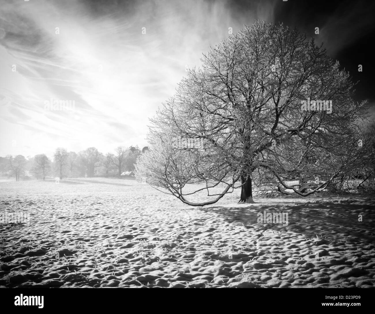 Landscape scape Black and White Stock Photos & Images - Alamy