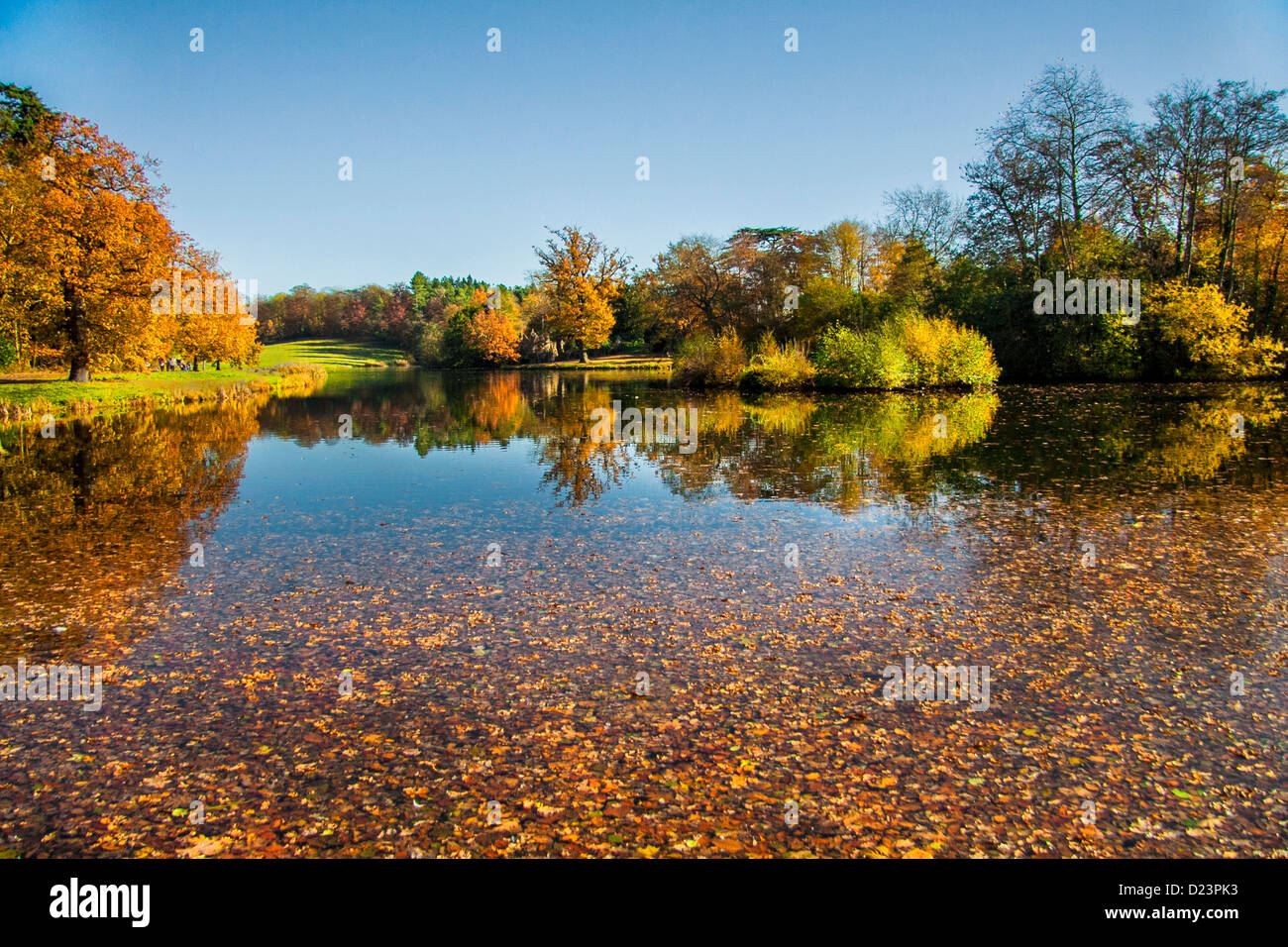Reflective trees autumn hi-res stock photography and images - Alamy