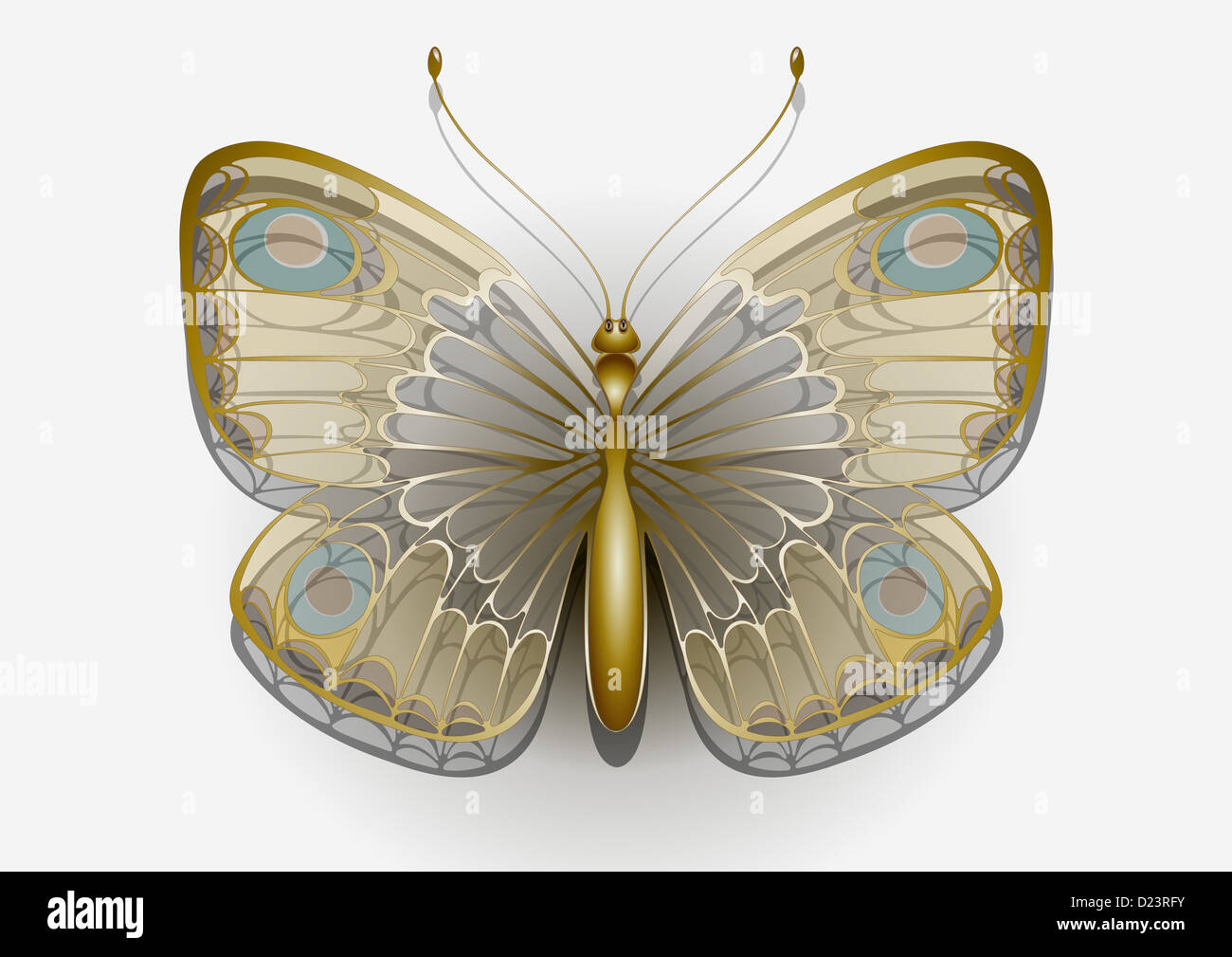 Delicate butterfly on a white background Stock Photo - Alamy