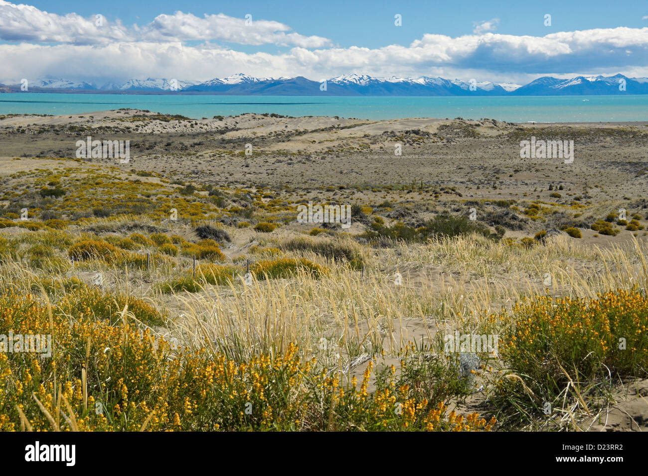 Lago Viedma and Andes Mountains, Patagonia, Argentina Stock Photo - Alamy