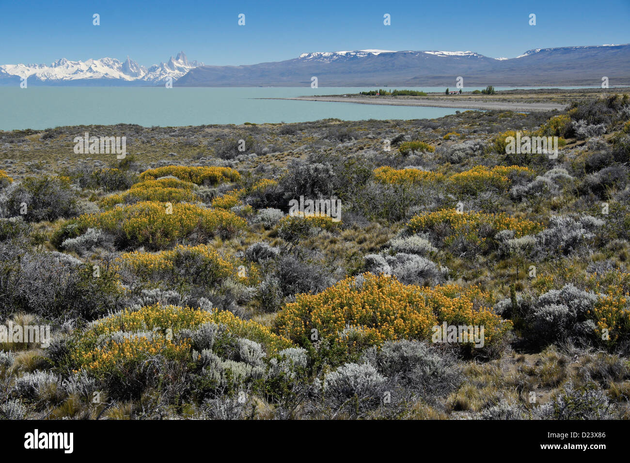 Lago Viedma and Andes Mountains, Patagonia, Argentina Stock Photo - Alamy