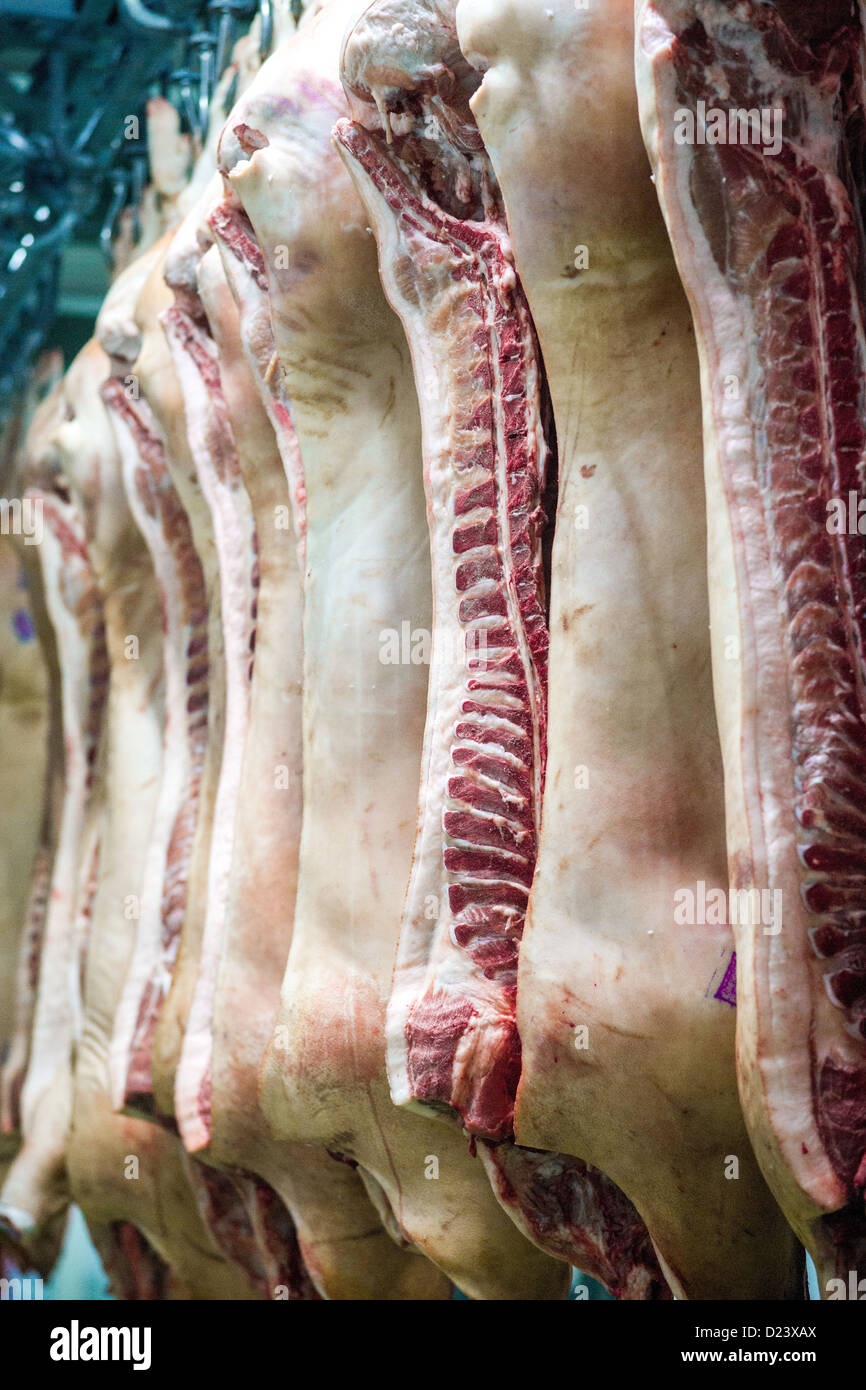 Pig slaughterhouse meat production factory hi-res stock photography and ...