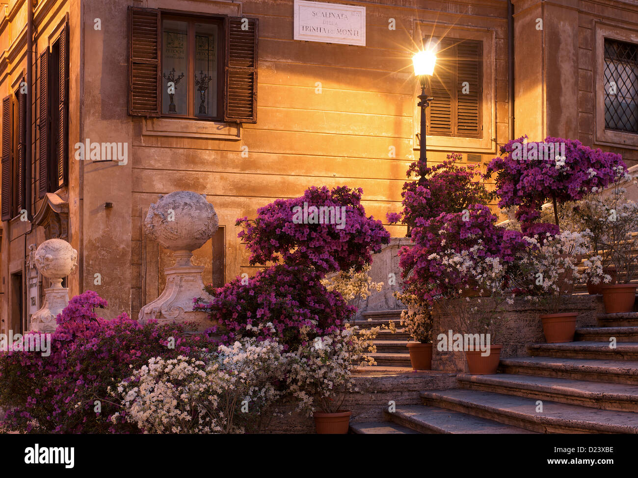 Rome, Italy, flowers on the Spanish Steps Stock Photo - Alamy