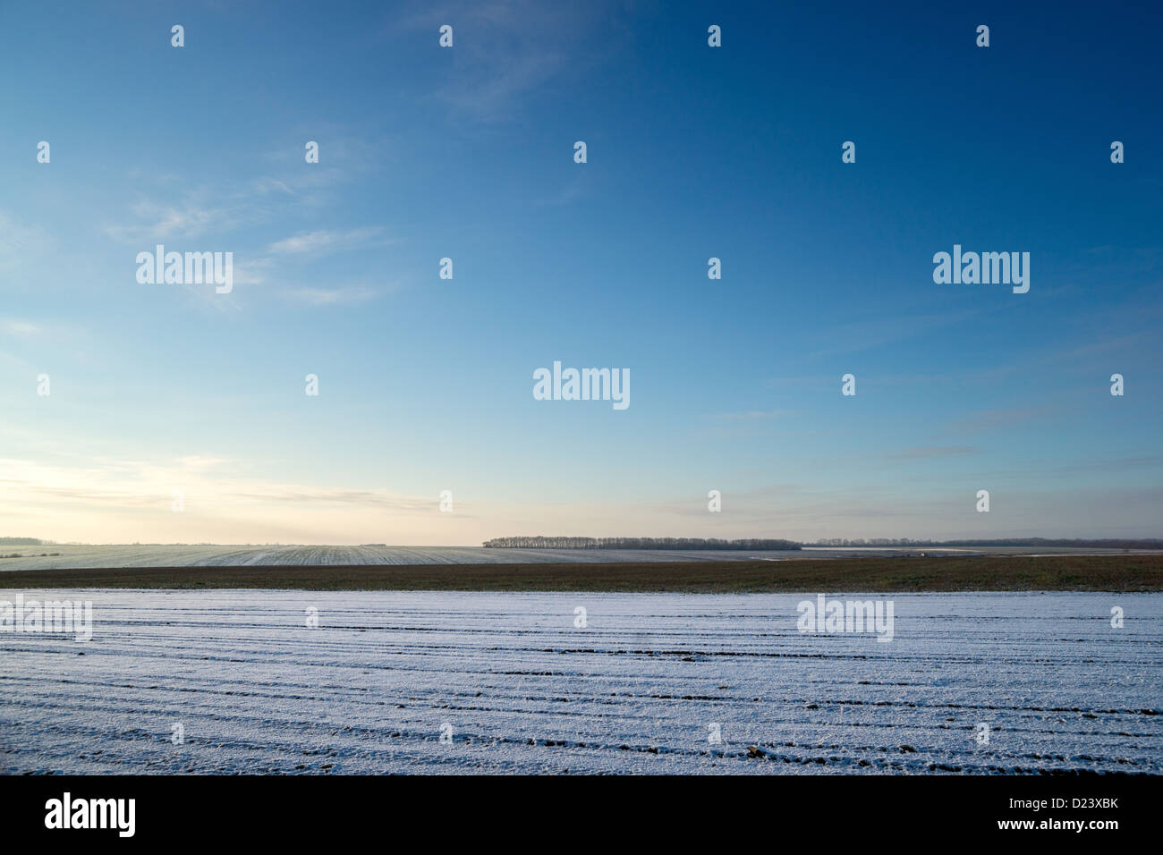 Russian winter landscape field trees hi-res stock photography and ...