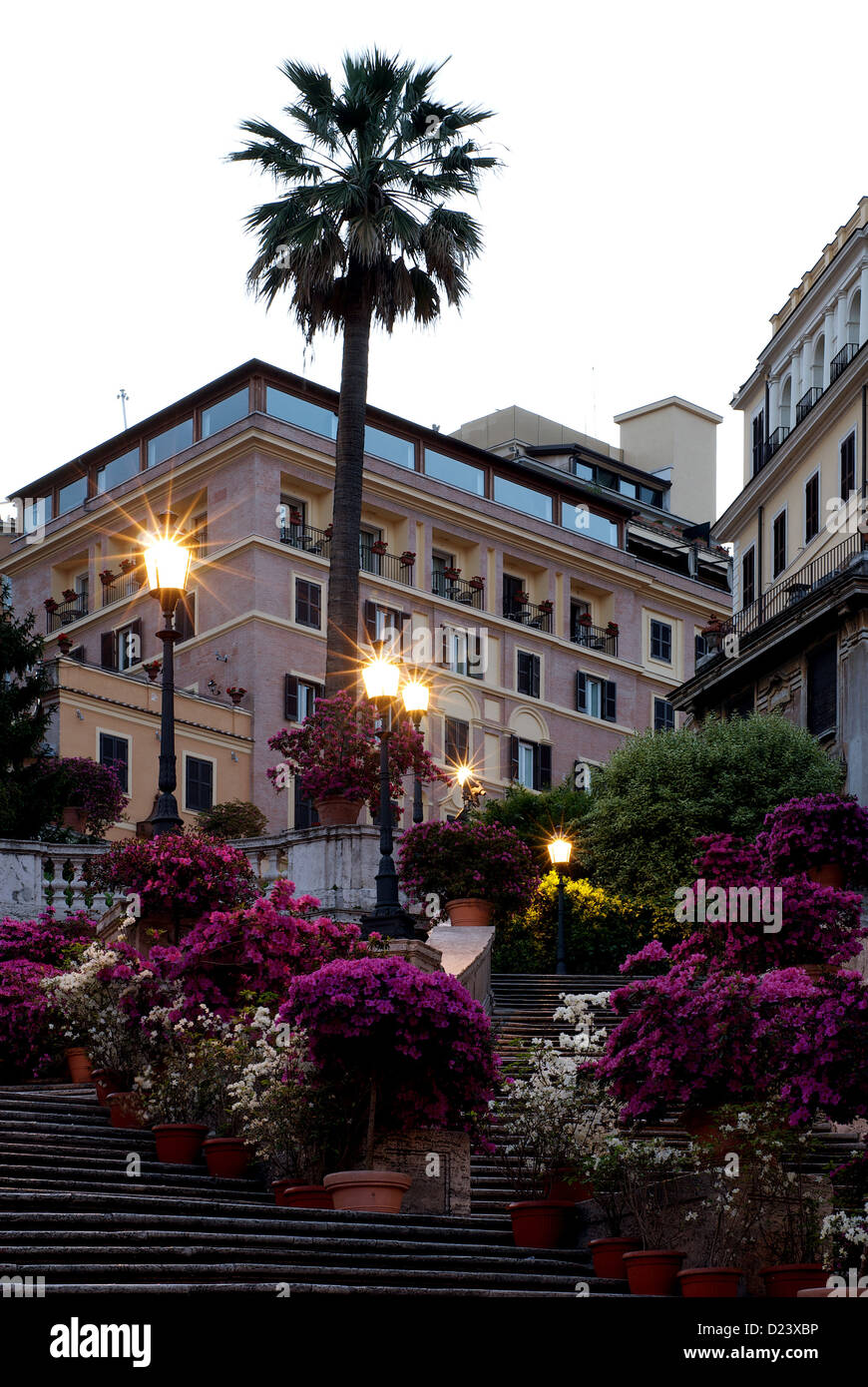 Rome, Italy, flowers on the Spanish Steps Stock Photo - Alamy