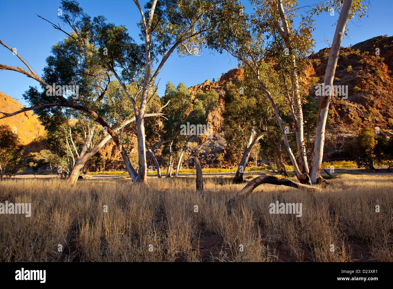 East MacDonnell Ranges landscapes Stock Photo - Alamy