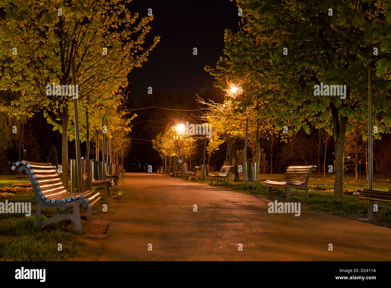Park alley by night Stock Photo - Alamy