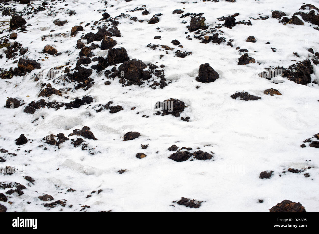 Permafrost soil frozen hi-res stock photography and images - Alamy