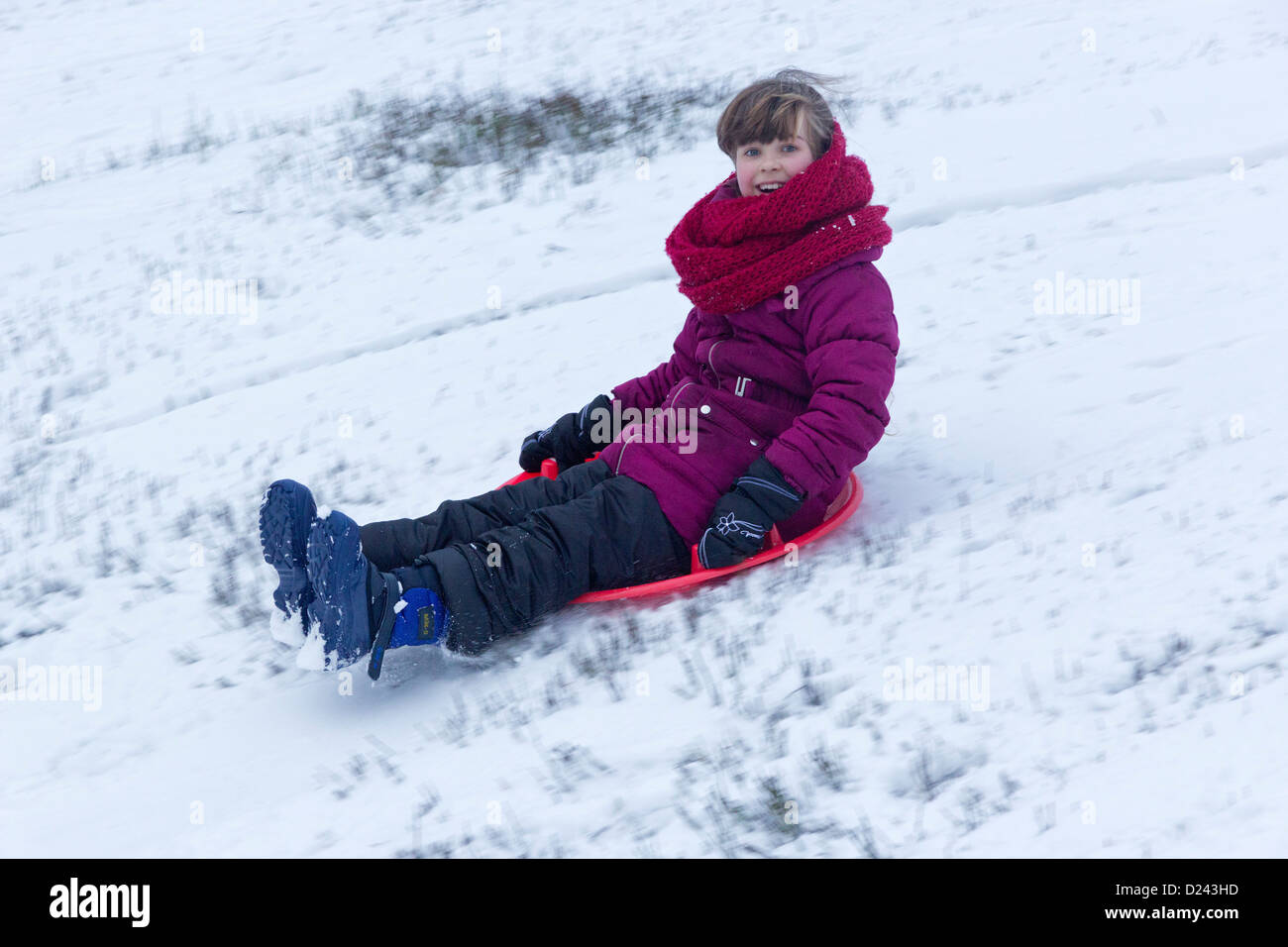 young girl sledding Stock Photo - Alamy