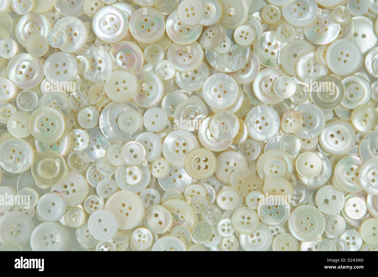 Various white buttons, close up Stock Photo - Alamy