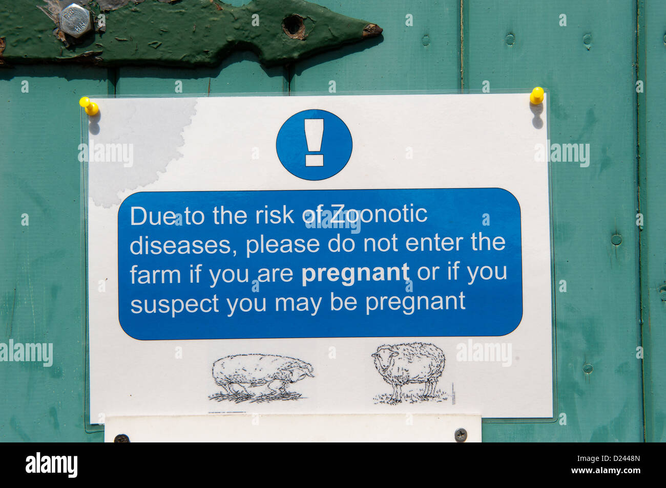 sign on wall warning against pregnant women coming into contact with ...