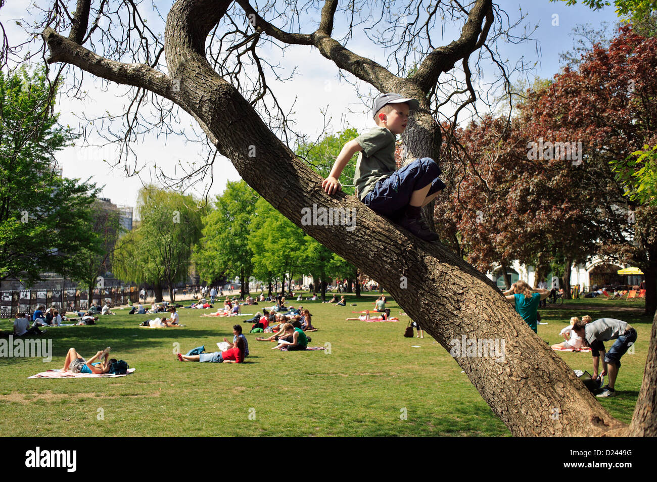 People sitting under shady trees hi-res stock photography and images ...