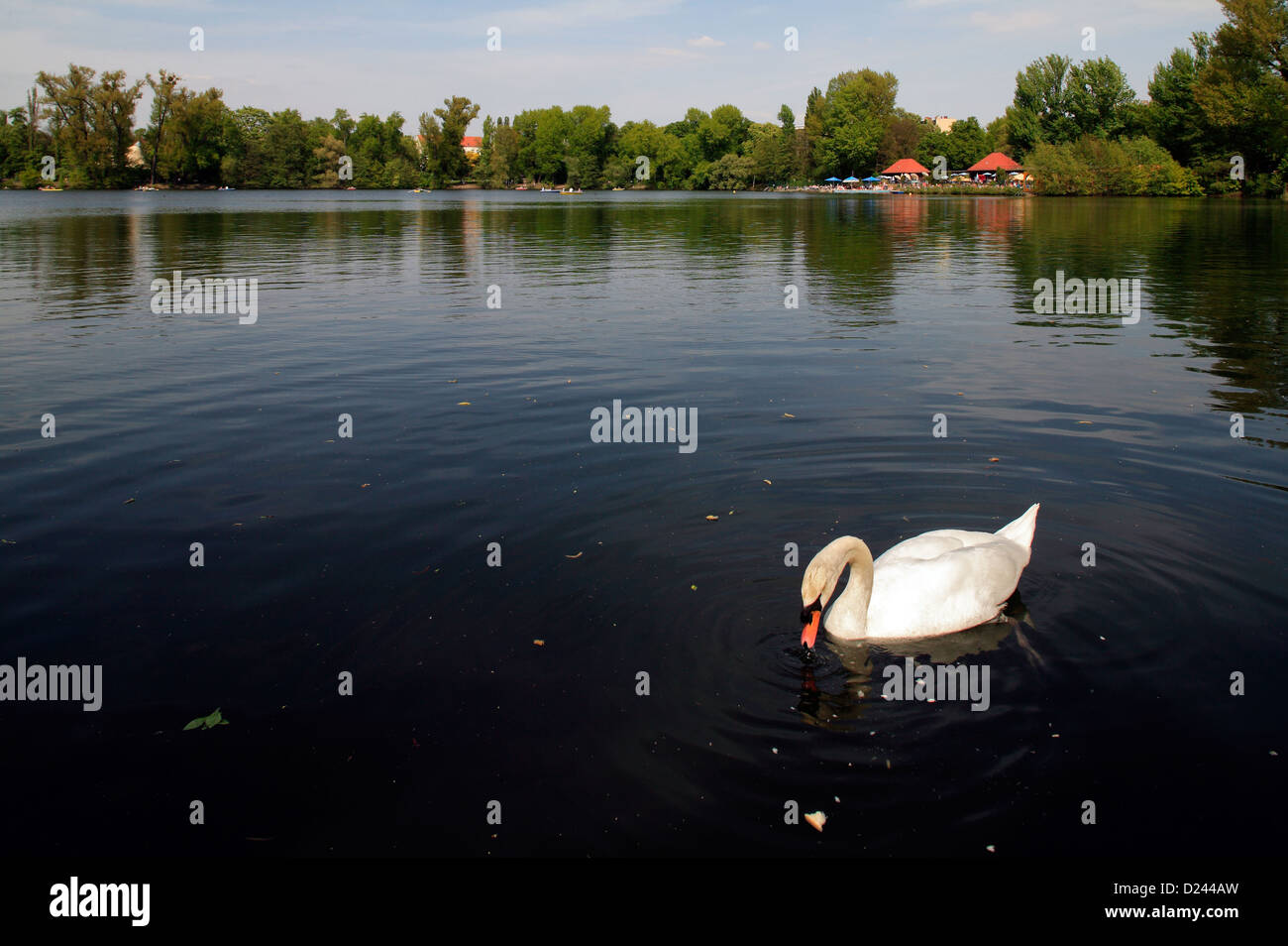 Weißensee lake berlin hi-res stock photography and images - Alamy