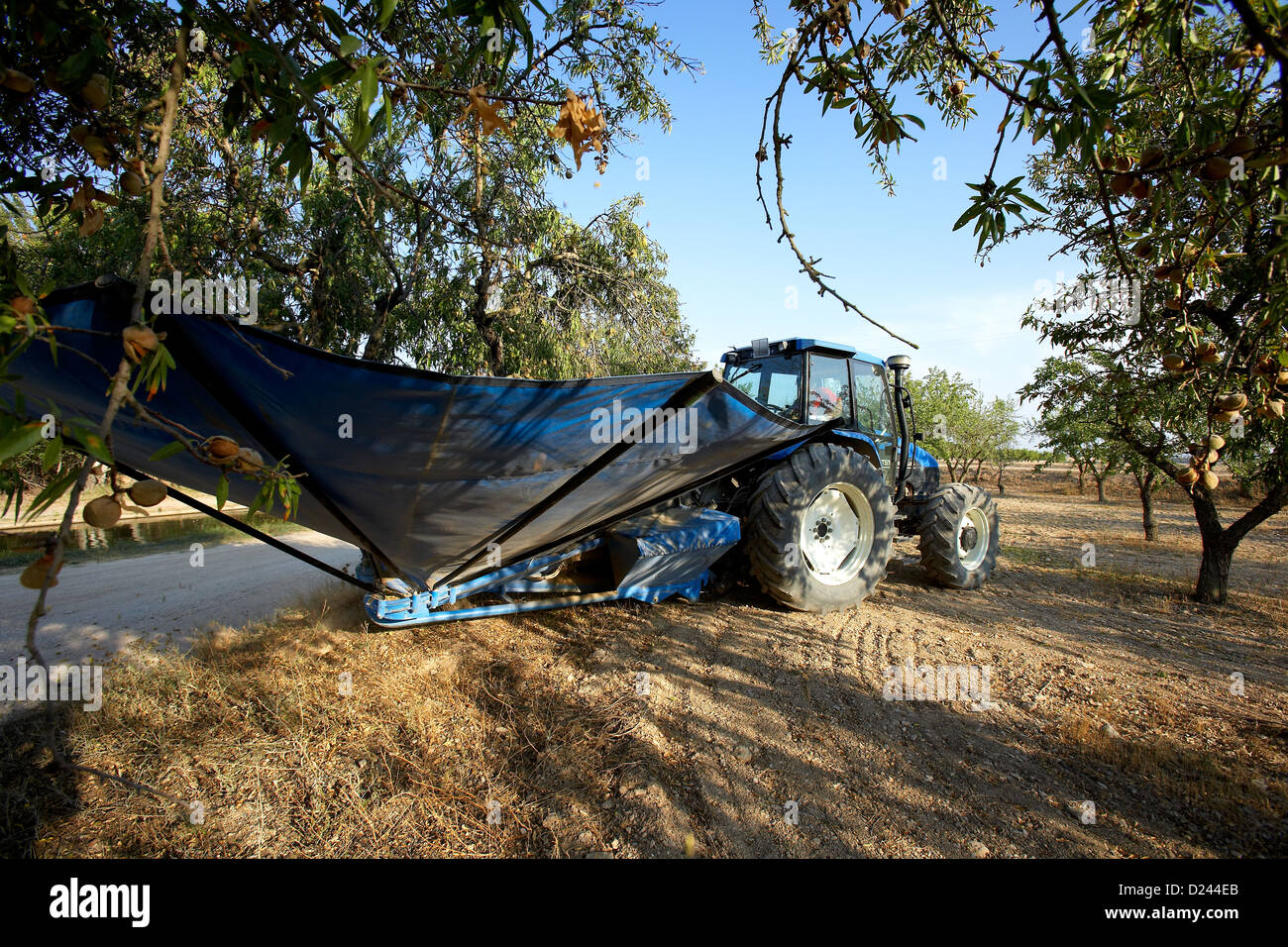 Almond harvest machine hi-res stock photography and images - Alamy