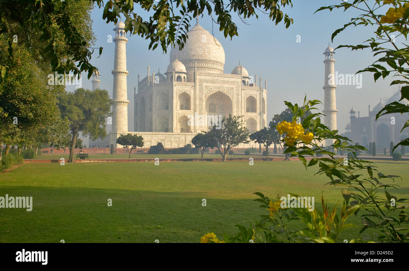 THE TAJ MAHAL AND FLOWERS AGRA INDIA Stock Photo - Alamy