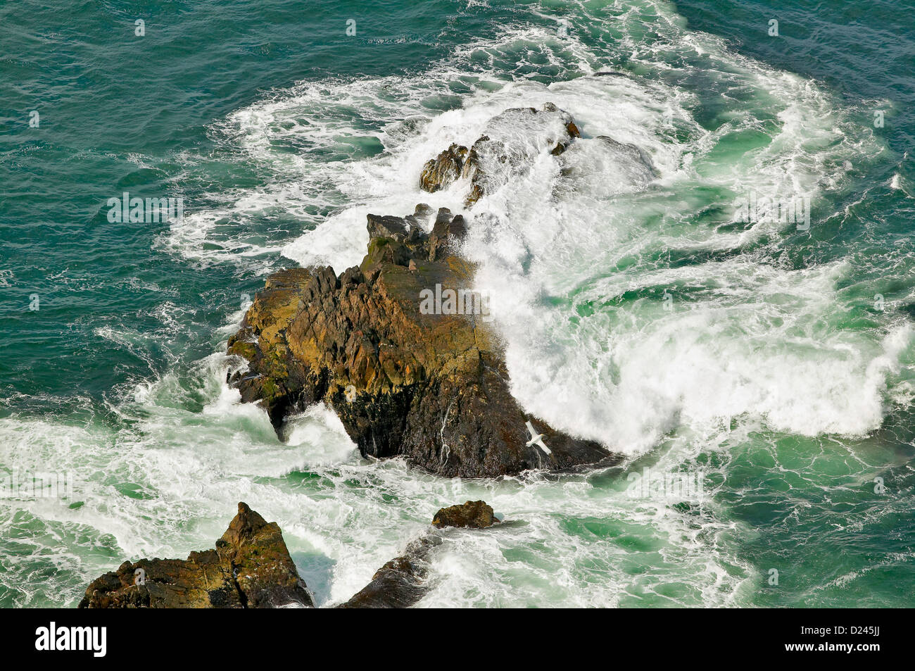 ROCKS AND SEA AT TROUP HEAD IMPORTANT SEA BIRD BREEDING AREA IN THE ...