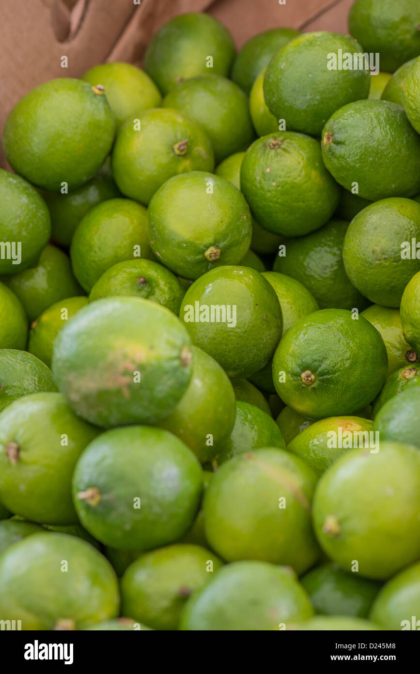 Florida citrus farm hi-res stock photography and images - Alamy