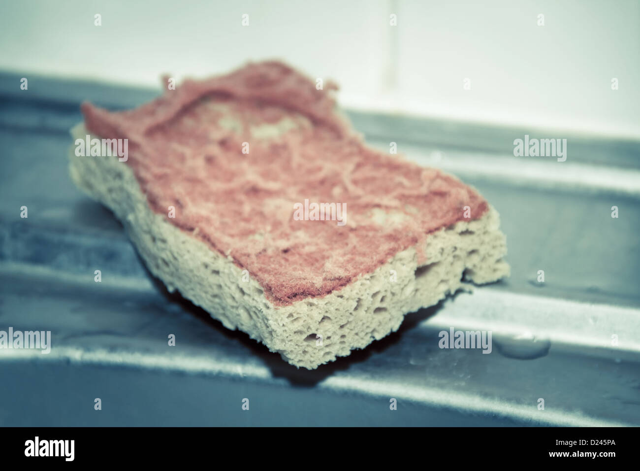 Old sponge on sink Stock Photo - Alamy