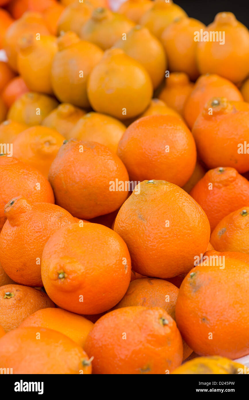 Florida grown orange juice hi-res stock photography and images - Alamy
