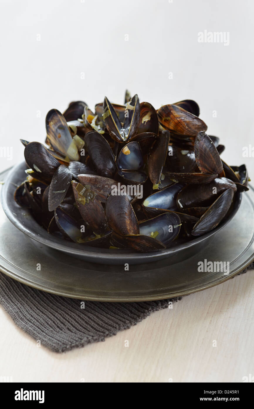 Plain shells hi-res stock photography and images - Alamy