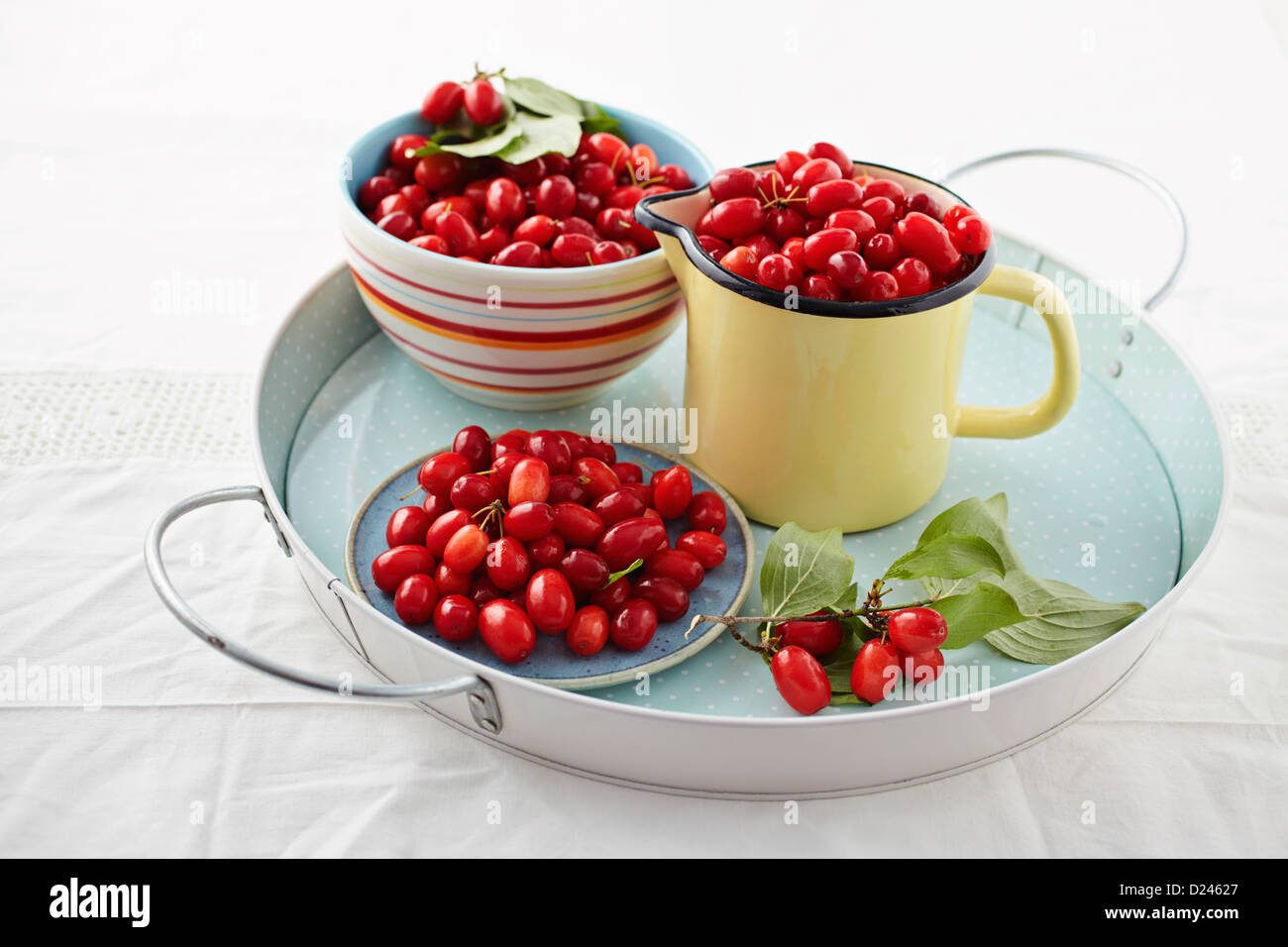 Cornel cherries hi-res stock photography and images - Alamy