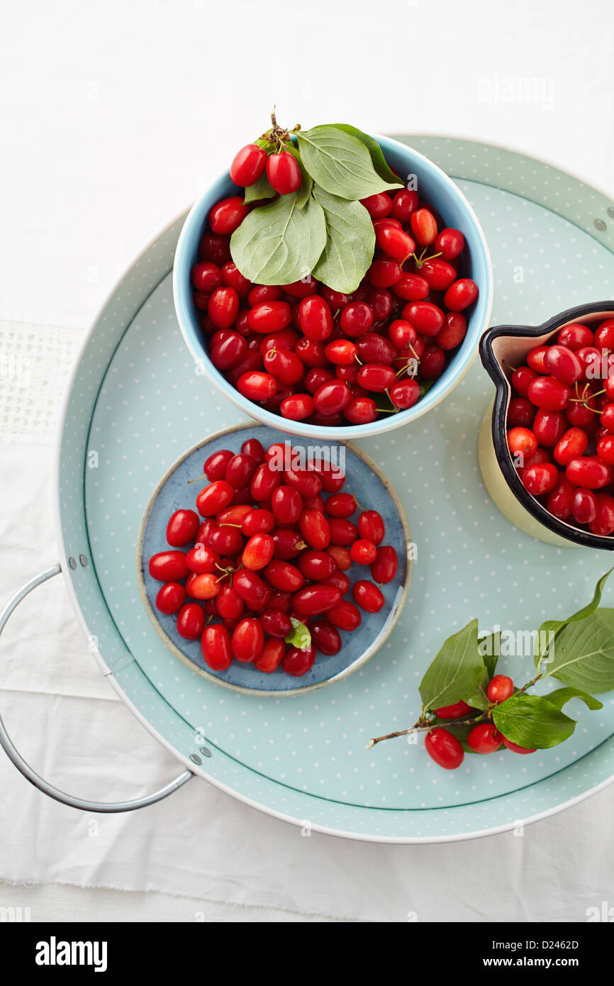 Cornel cherries in containers on tray Stock Photo - Alamy