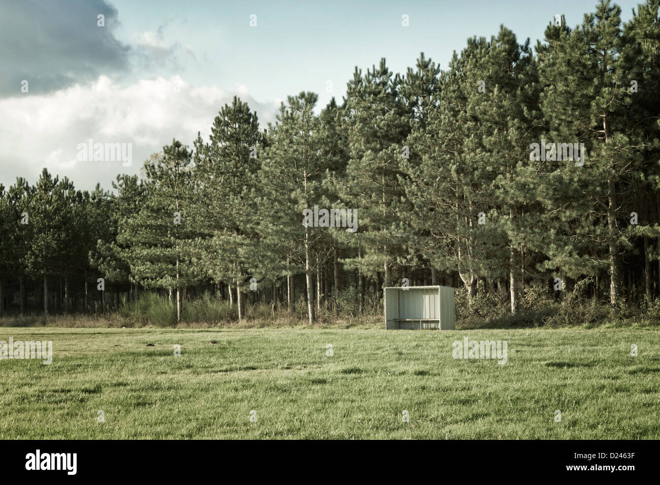 Bus stop on edge of forest Stock Photo - Alamy