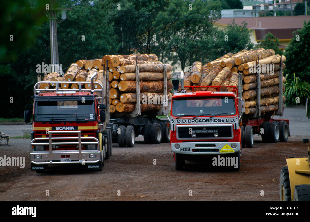 New Zealand Picton Wood Exports - Trucks Carrying Timber Logs Stock ...
