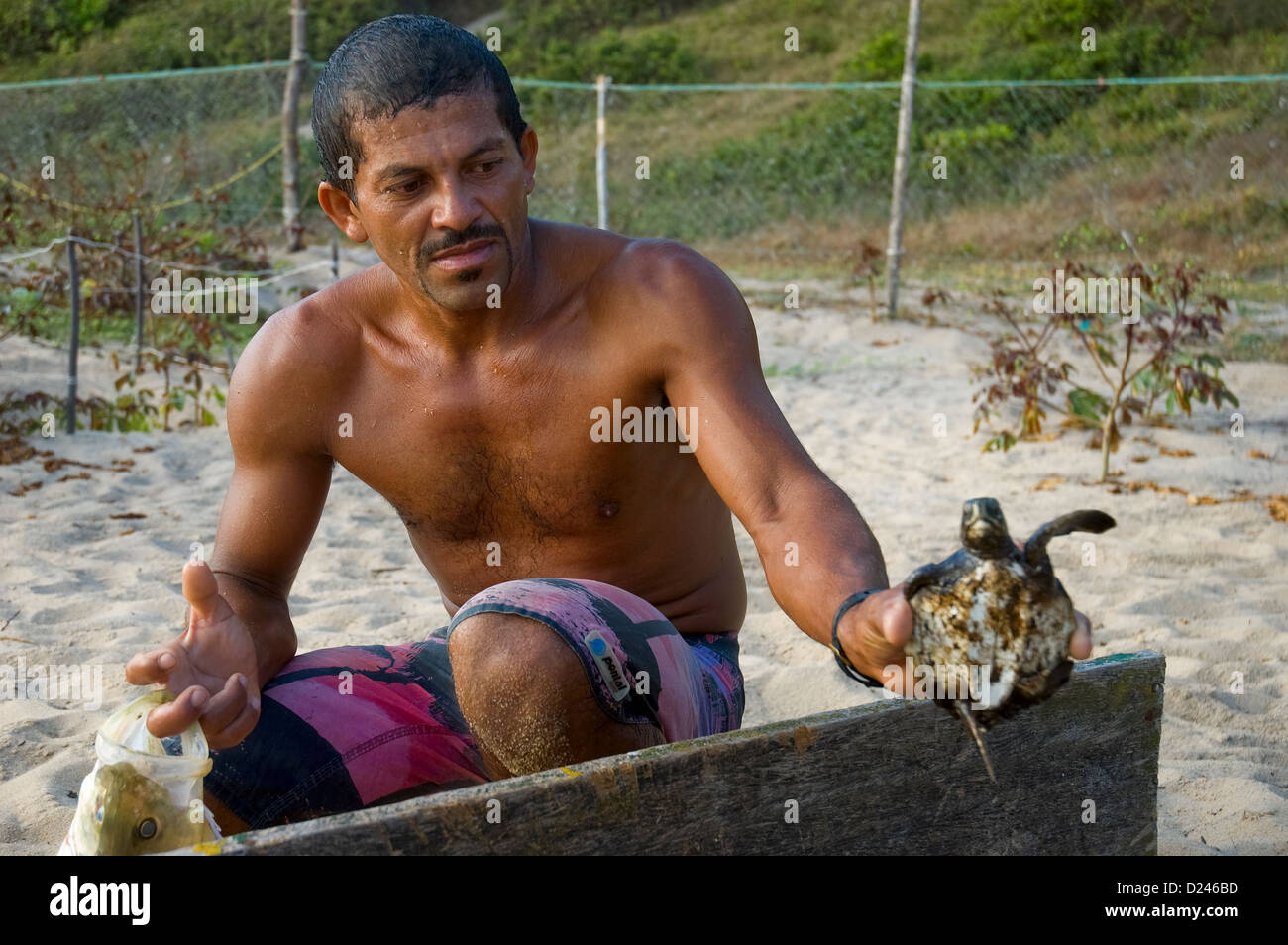 fisherman with turtle Stock Photo - Alamy