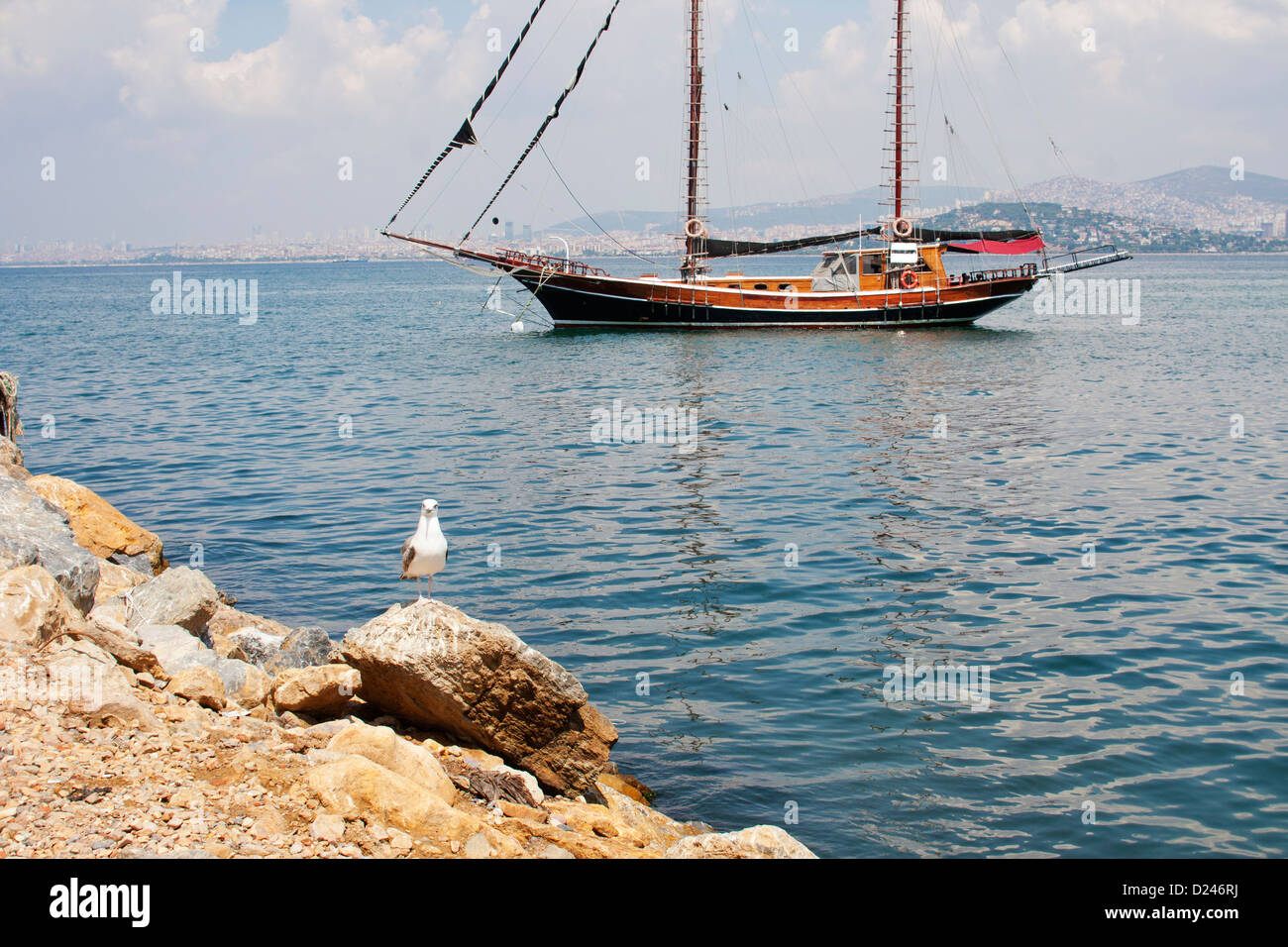 Boy seagull hi-res stock photography and images - Alamy