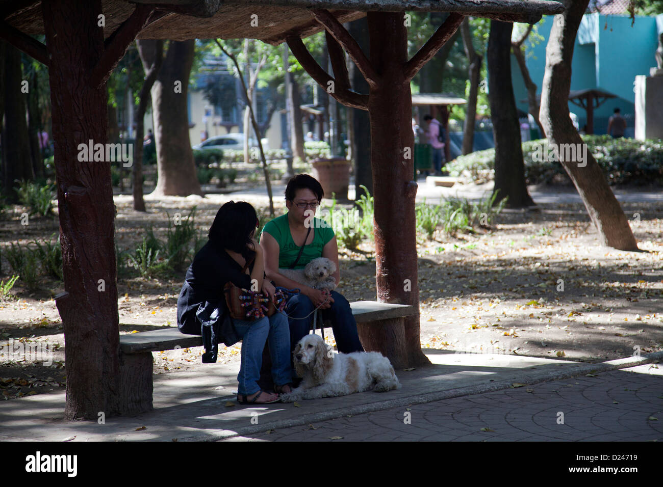 Women with dogs on Park Mexico in La Condesa - Mexico City DF Stock ...