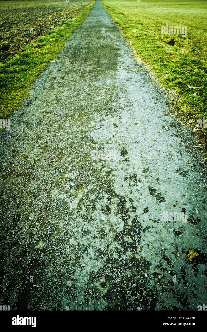 road running between fields in country Stock Photo - Alamy