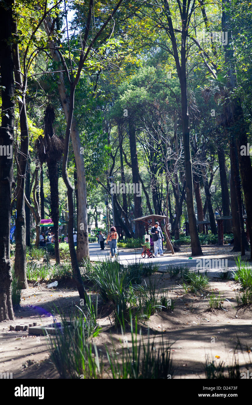 Park Mexico in La Condesa - Mexico City DF Stock Photo - Alamy