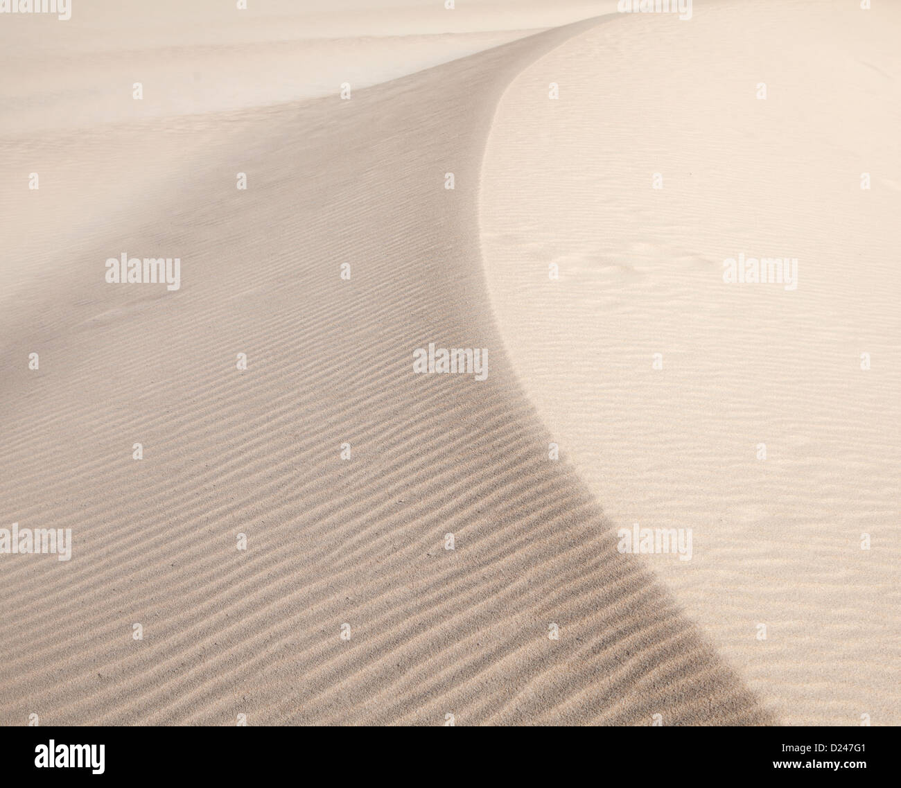 sand and wind pattern on dunes Stock Photo - Alamy