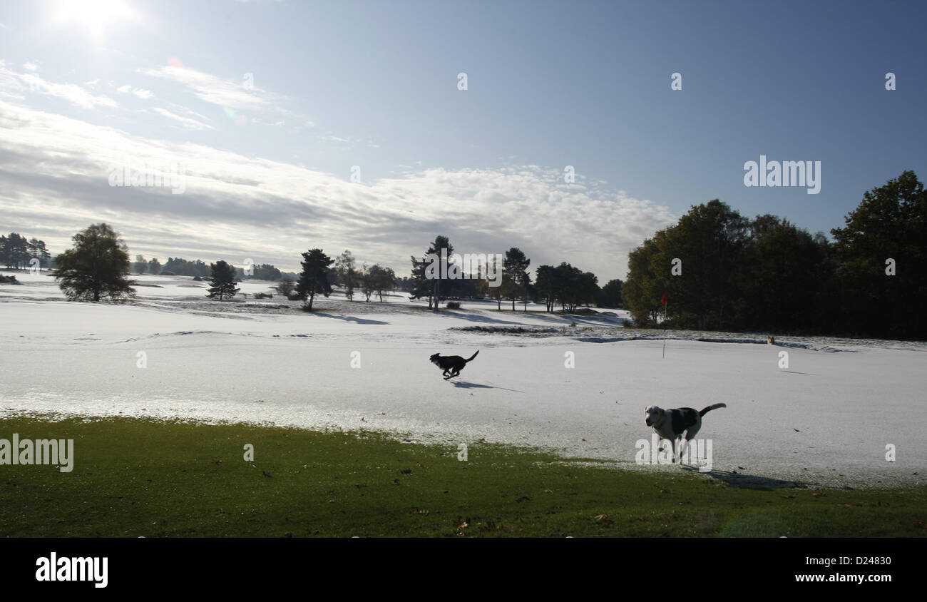 Golf play shut hi-res stock photography and images - Alamy
