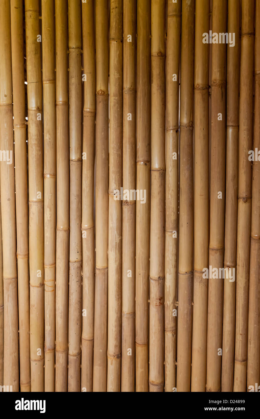 Bamboo sticks serving as background Stock Photo - Alamy